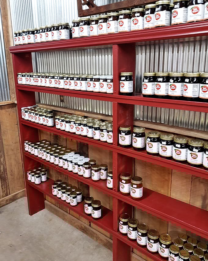 Shelf after glorious shelf of homemade preserves—each jar a time capsule of summer sunshine waiting to brighten winter toast.