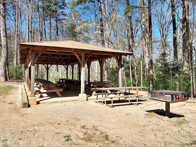 This picnic shelter is like nature's dining room—complete with fresh air conditioning and a soundtrack of rustling leaves instead of elevator music.