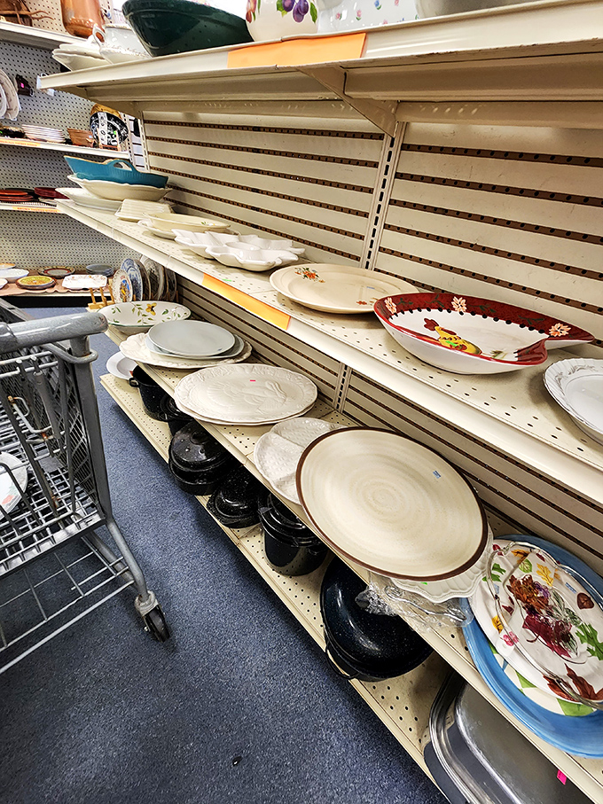 Dinner plate roulette! Mix and match your way to the most eclectic table setting in town – mismatched china never looked so intentional.