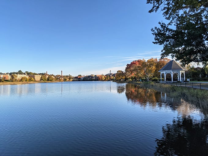 Exeter's waterfront reflects autumn's fiery palette with mirror-like precision—Mother Nature showing off her photography skills without an Instagram filter in sight.