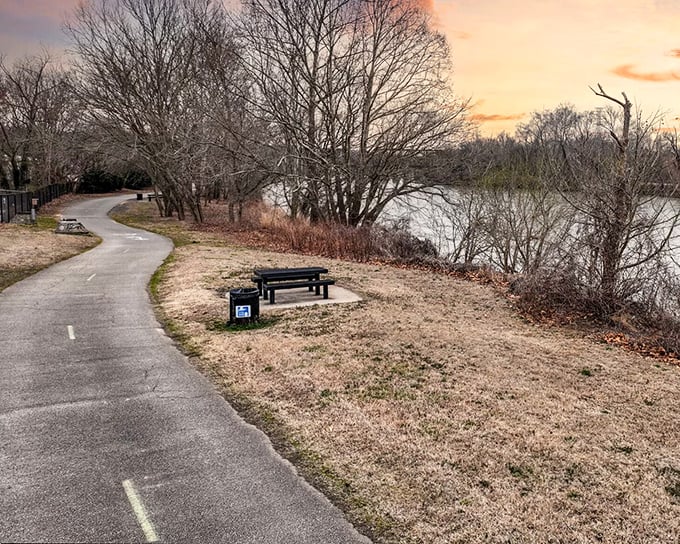 A solitary bench along the Riverwalk offers front-row seats to nature's daily performance – no tickets required.