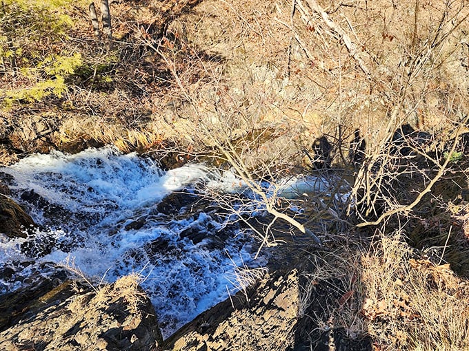 Water sculpting stone over millennia – nature's patient artistry on display in this rocky stream that whispers tales of geological time.