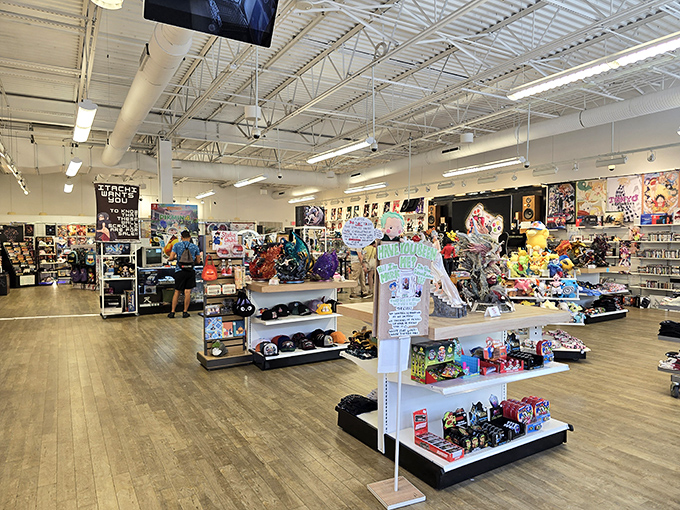 This isn't your grandmother's outlet store—modern interiors and organized displays have replaced the chaotic bin-diving expeditions of outlet shopping's early days.