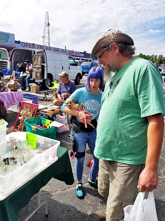 The outdoor market transforms ordinary parking lots into impromptu communities where strangers bond over shared curiosity and the universal language of bargaining.