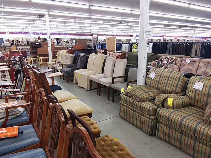 The sofa section resembles a living room family reunion—patterns from every decade mingling together in plush, cushioned harmony.