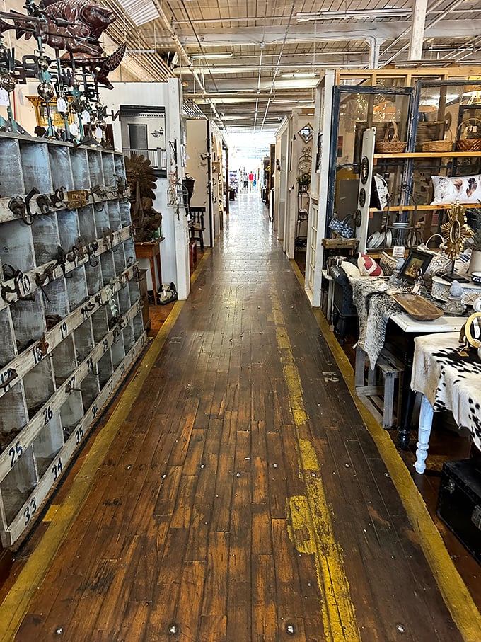 Wooden floors that creak with secrets and aisles that promise adventure. The yellow lines aren't for racing—though it's tempting.