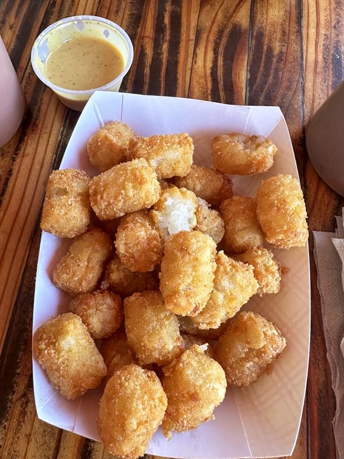 Golden-brown tater tots that crunch like nature's perfect potato pebbles. The dipping sauce is just showing off at this point.