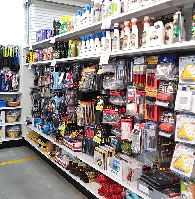 Hardware heaven for the DIY dreamer—where that perfect gadget you didn't know you needed waits patiently for discovery.