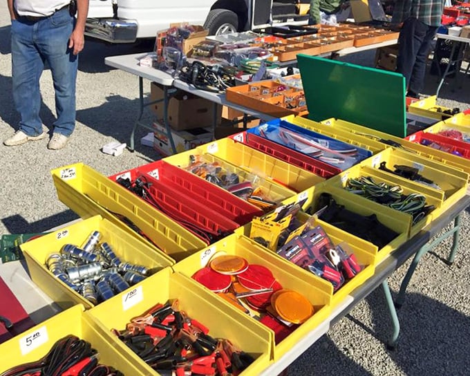 Tool heaven for the DIY crowd—organized in colorful bins that make hardware store prices seem like highway robbery.