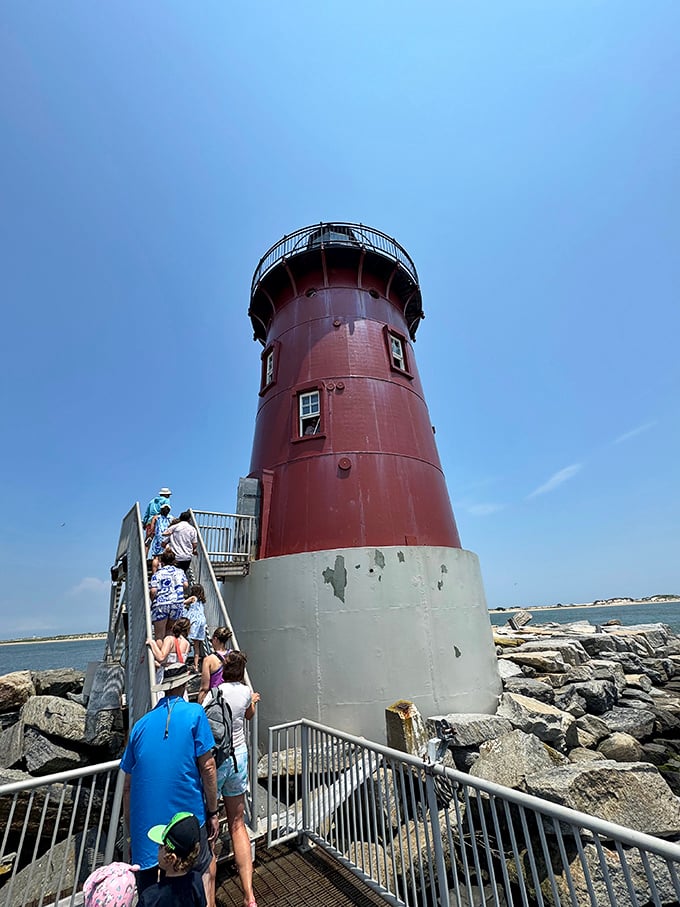 Lighthouse pilgrims making their ascent. That spiral staircase might leave you breathless, but the stories these walls could tell are worth every step.