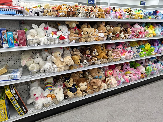 The stuffed animal adoption center—where these gently-loved cuddle companions patiently wait for their second chance at being someone's favorite.