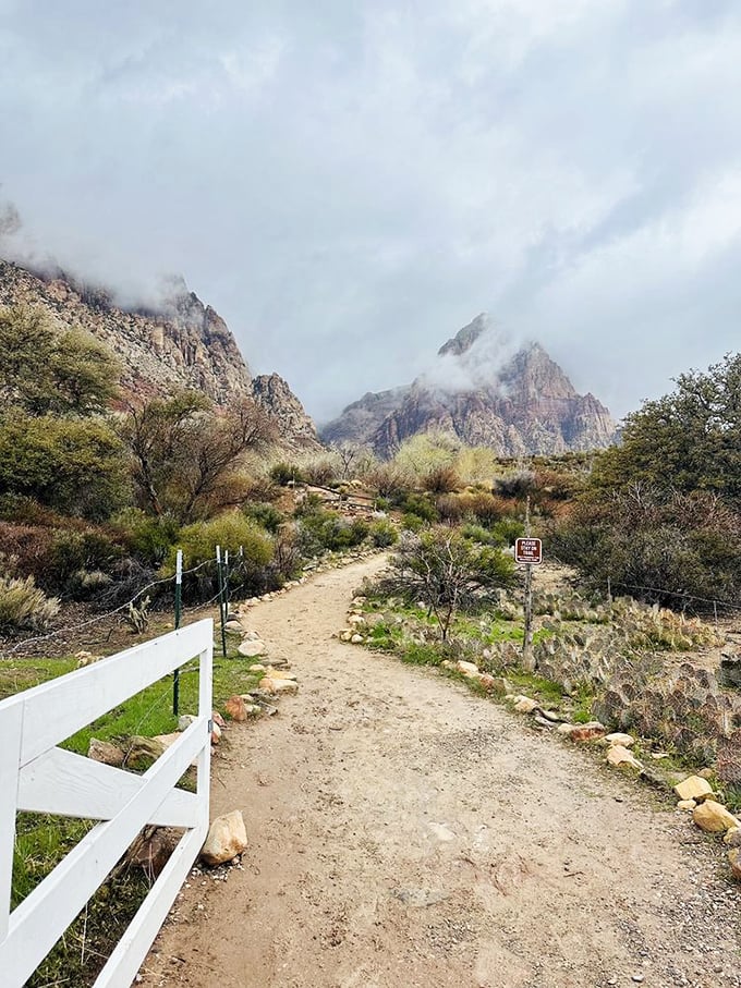 Some paths lead to promotions, others to enlightenment. This one promises mountain views and the sweet sound of absolutely nothing.