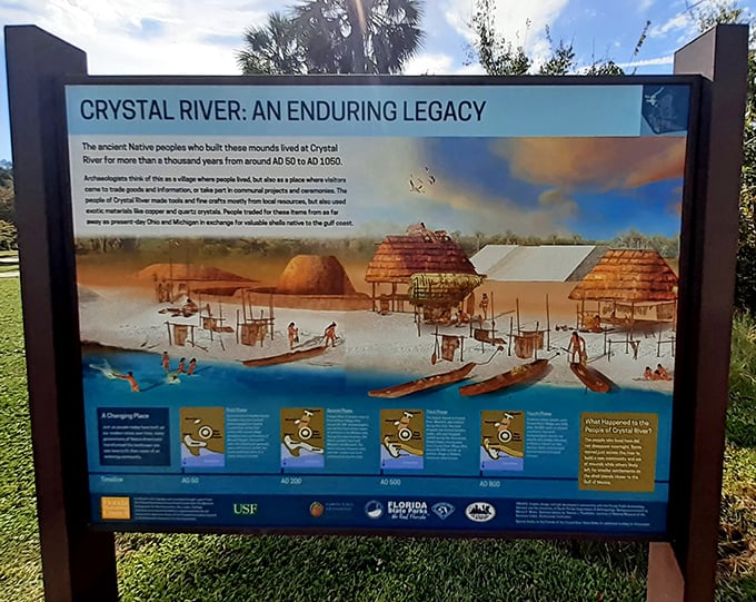 History illustrated – this informative display brings to life the daily activities of Crystal River's ancient inhabitants, who thrived here from 500 BCE to 1050 CE.