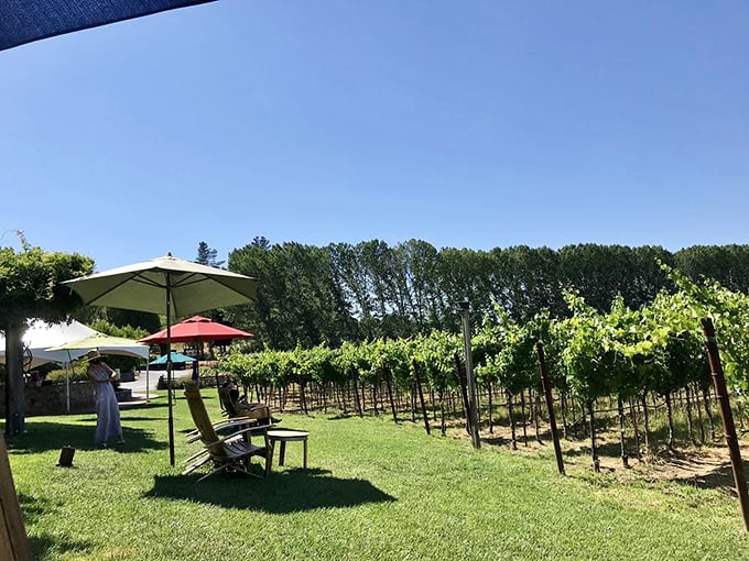 Umbrella-shaded seating nestled between vineyard rows – where "social distancing" just means more wine for you and your companion.