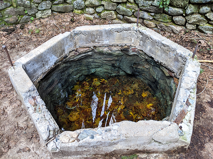 This historic well from the old Ney Springs Resort – where Californians once "took the waters" long before green juice cleanses were a thing.