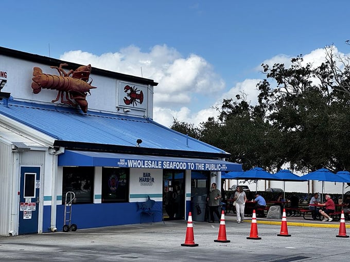 That giant lobster on the roof isn't just decoration—it's a billboard for authenticity. Bar Harbor brings Maine to Orlando, one roll at a time.