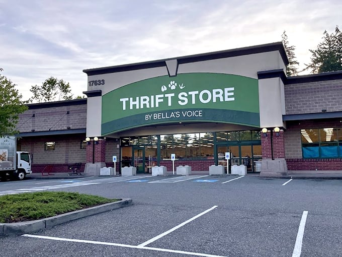 Bella's Voice makes a bold statement with its modern storefront—thrifting with purpose has never looked so inviting.