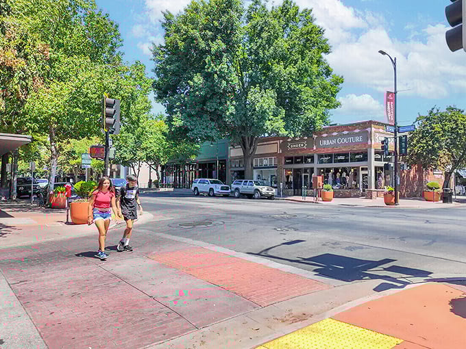 Chico's downtown buzzes with life, where tree-shaded sidewalks make window shopping feel like an actual pleasure.