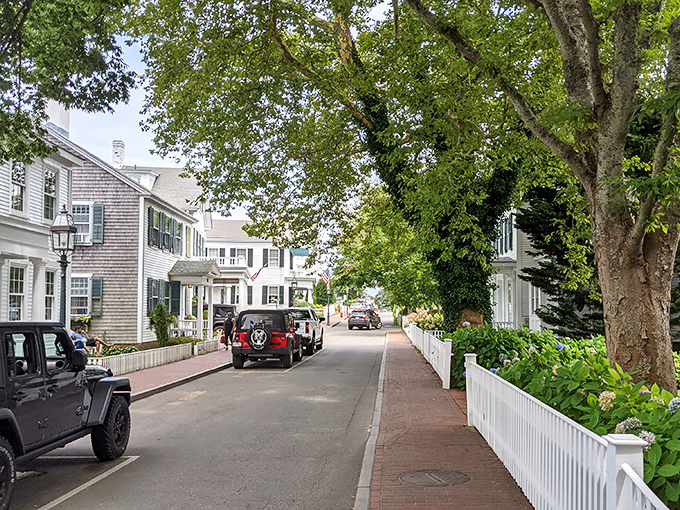 Edgartown's streets are lined with trees and charm in equal measure. Martha's Vineyard showing off its picture-perfect credentials.