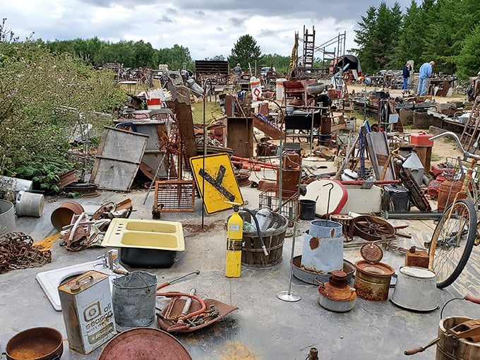 It's like someone's barn exploded in the most beautiful way possible – rust never looked so appealing.