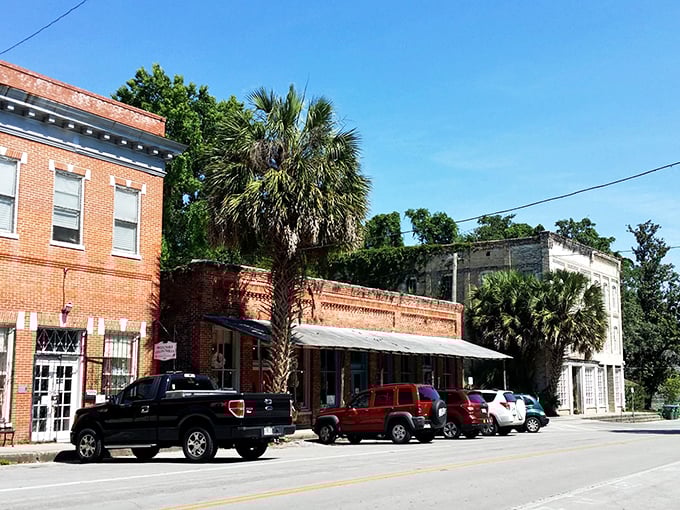 Time moves slower under palm trees! Micanopy's main street looks like it hasn't changed since your grandparents went on their first date.