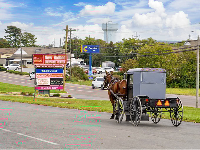 New Holland – where modern convenience meets horse-drawn tradition in a daily choreography of old and new.