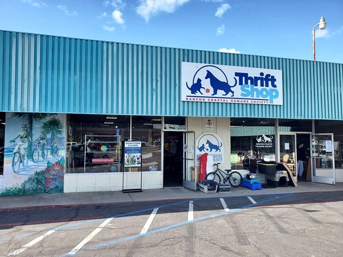 This coastal thrift shop combines ocean breezes with bargain hunting, where every purchase helps our four-legged friends.
