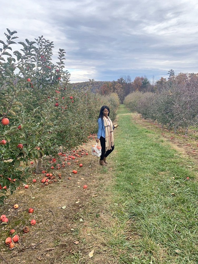 That red building holds more apple goodness than you can fit in one visit – trust me, you'll be back.