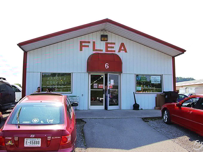 The white warehouse of wonders - where climate-controlled comfort meets old-fashioned flea market charm and variety.