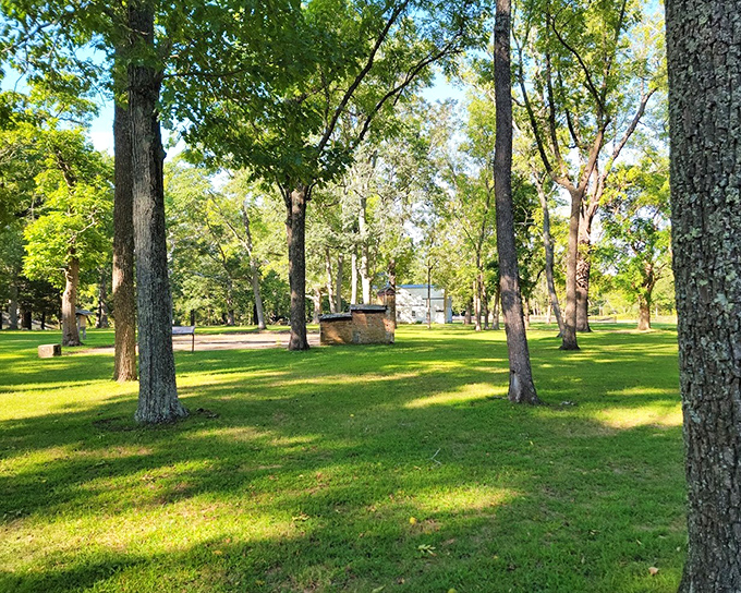 Ancient trees at Allaire create cathedral-like spaces perfect for contemplating life's simple pleasures and beauty.
