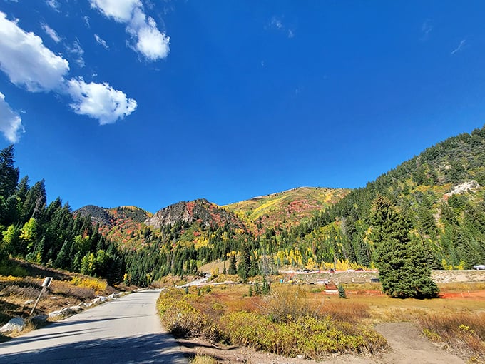 Fall colors paint the mountainsides like nature's own masterpiece, creating postcard views at every turn.