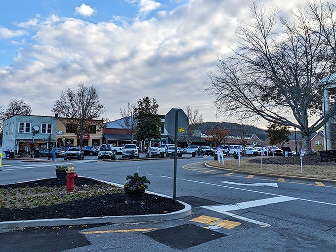 Winter's bare branches frame Dahlonega's storefronts like a vintage postcard—a town where traffic circles are social events and fire hydrants get Christmas cards.