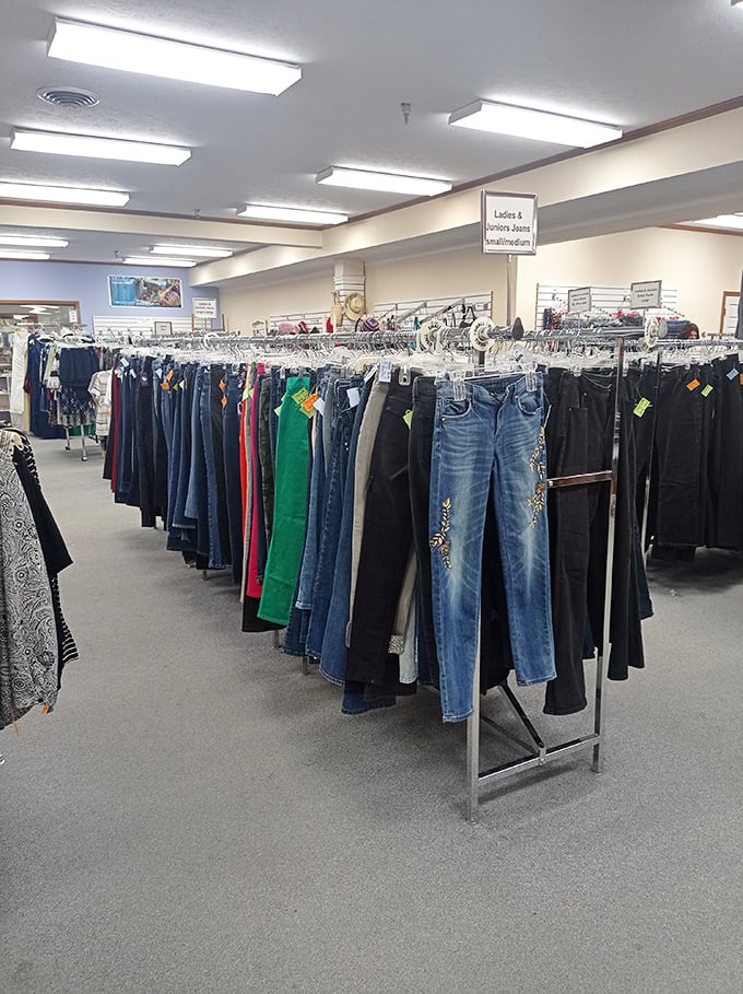 Neat clothing racks prove that organized thrift shopping beats chaotic treasure hunting every single time.