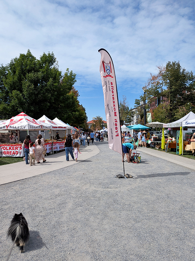 Downtown streets come alive with white tents offering everything from organic produce to local artisan creations.