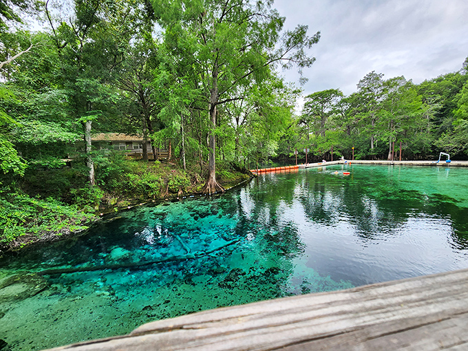 The original two-tone pool! Where emerald headspring meets swimming area—like nature decided to design the perfect resort without architects.