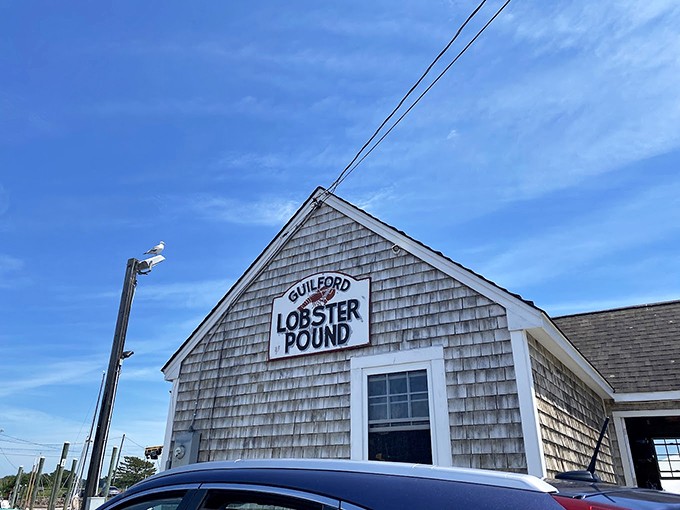 When your seafood shack has actual fishing boats pulling up outside, you know you've found the real deal.