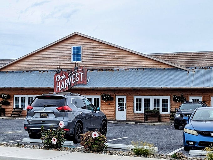 Morning reveals Our Harvest's charming farmhouse exterior—a place where field-to-fork isn't just a slogan but a delicious reality.
