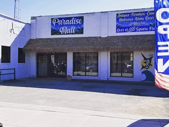 When a place calls itself Paradise, you know they're confident about their treasure-hunting credentials.
