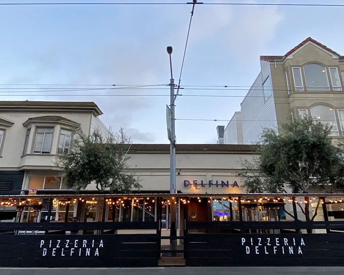 Mission District magic happens behind those modern glass doors where Neapolitan traditions meet California innovation perfectly.