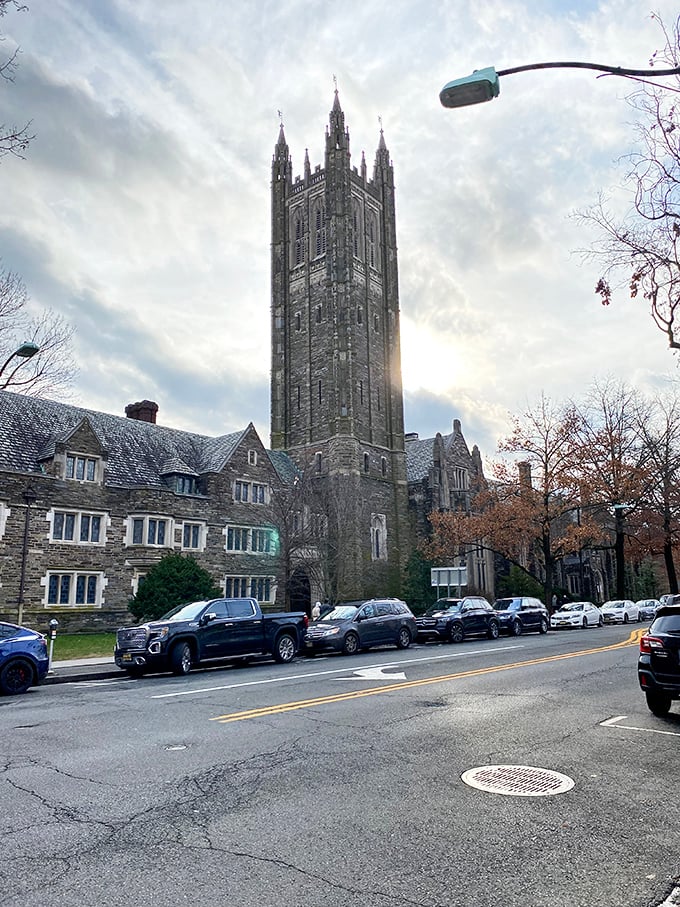 That imposing Gothic tower isn't trying to intimidate you—it's just Princeton's way of saying "serious learning has happened here since 1756."