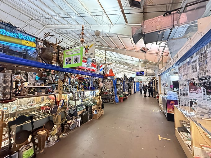 Inside Raynham's cavernous halls, every aisle promises a new adventure in organized chaos and unexpected discoveries.