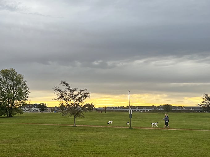 This peaceful residential view captures why Rice Lake residents wake up grateful for small-town living every single day.