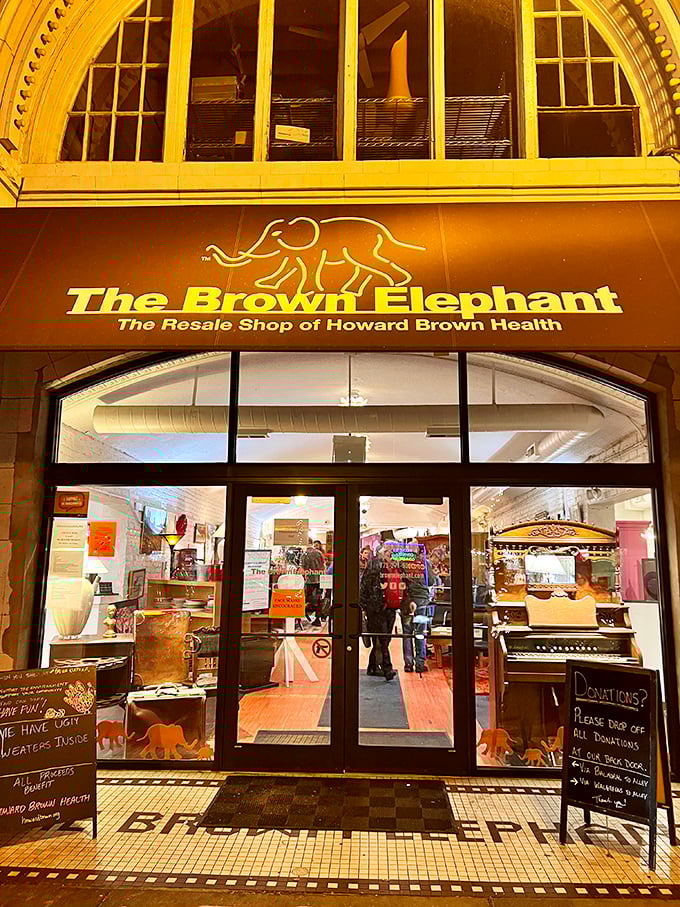 The Brown Elephant's golden glow promises carefully curated treasures supporting a wonderful community cause.