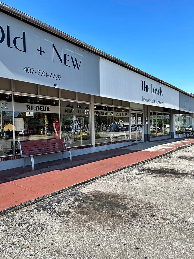Strip mall location, boutique-level finds - sometimes the best restaurants hide in unexpected places, and so do thrift stores.
