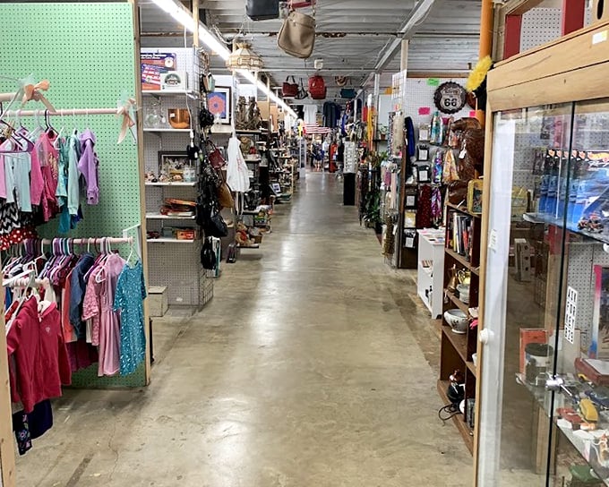Aisles lined with everyday treasures – proof that one generation's ordinary is another's extraordinary find.
