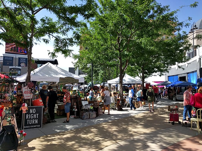 City streets become outdoor galleries where every booth tells a different story of style. 
