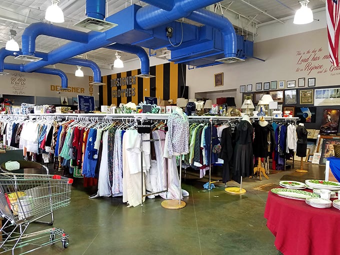 Blue pipes overhead, treasures below. This isn't just thrifting—it's a carefully curated adventure in pre-loved possibilities.
