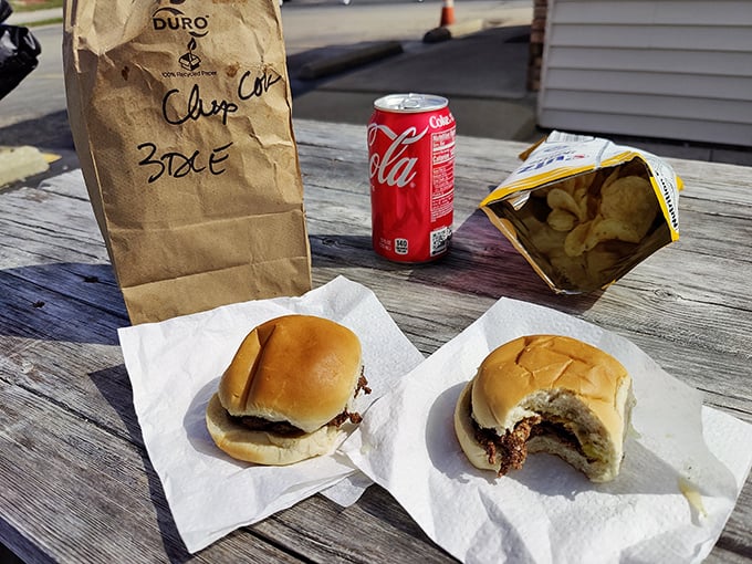 The ultimate picnic spread: paper-wrapped sliders, chips, and an ice-cold Coca-Cola—proof that happiness doesn't need fancy packaging.