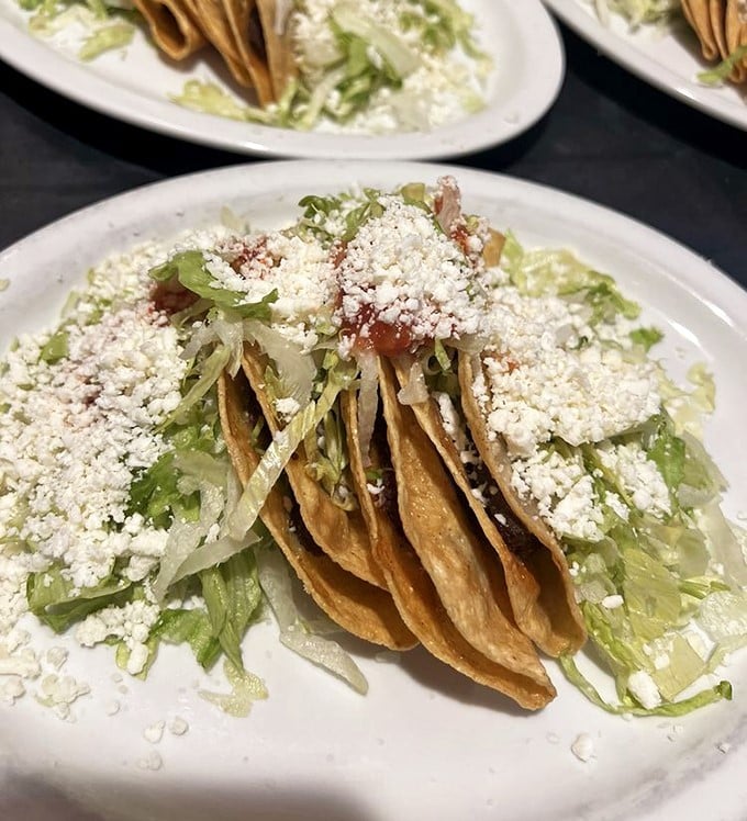 Crispy tacos dusted with cotija cheese and nestled on fresh lettuce—proof that simplicity, when done right, is the ultimate sophistication.