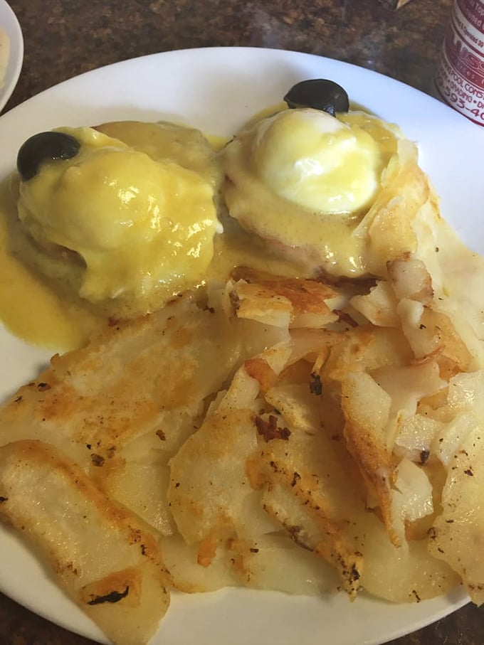 Eggs Benedict done right—perfectly poached eggs nestled on Canadian bacon, draped in hollandaise that's clearly made with care, not from a packet.